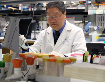 Tiny Molecules Could Hold the Key to New Cancer Treatment - About UMSOD